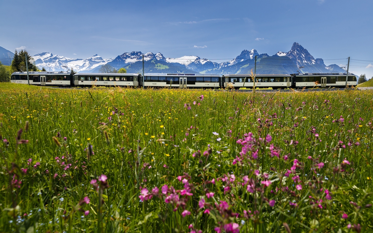 Explore Railbookers Destinations | Railbookers®