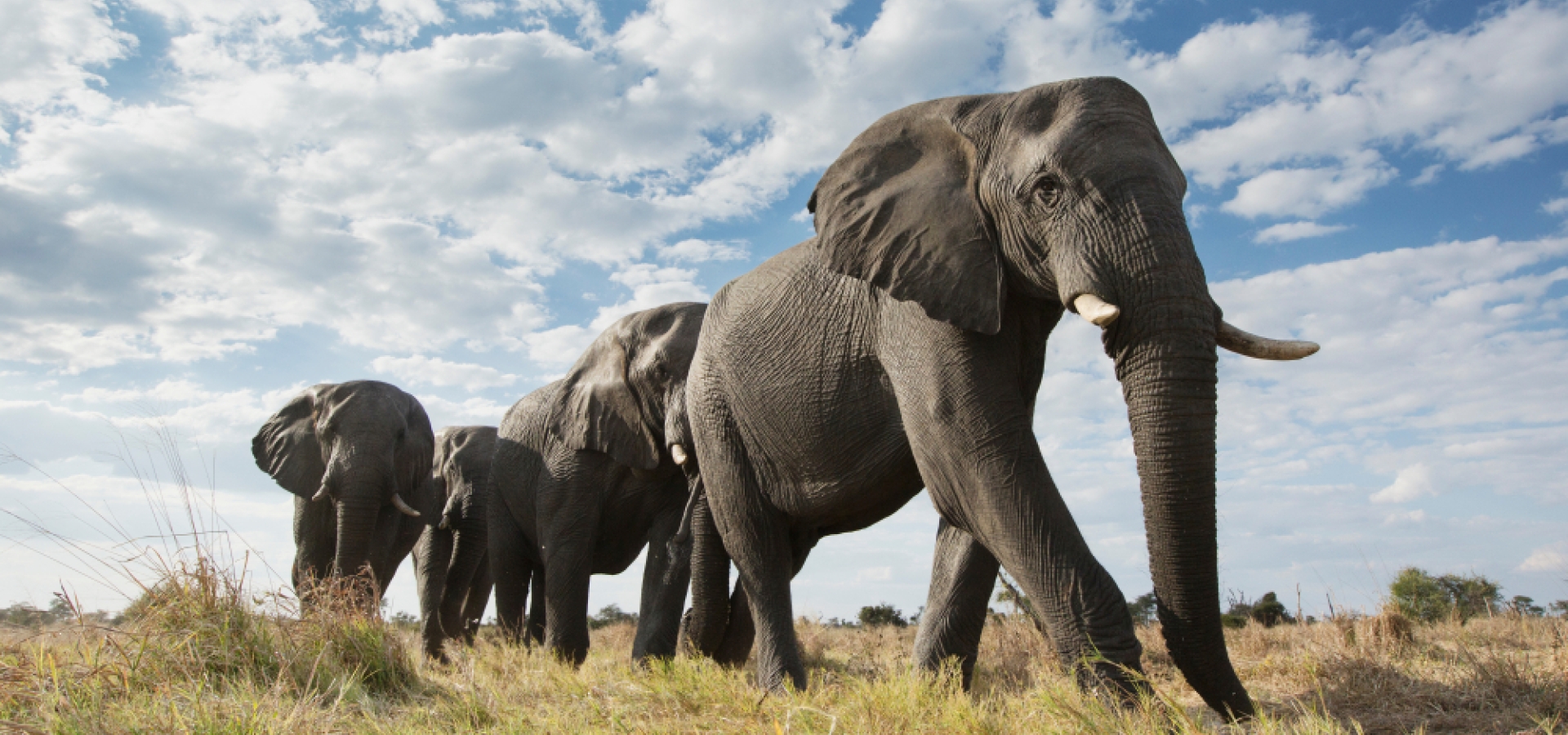 Around the World by Luxury Train | Railbookers®